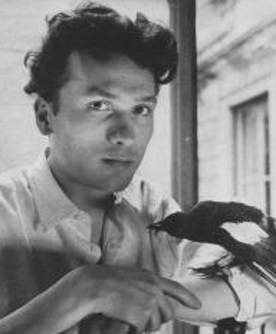 Brianzart: l'omaggio a Luca Crippa - Il Cittadino di Monza e Brianza