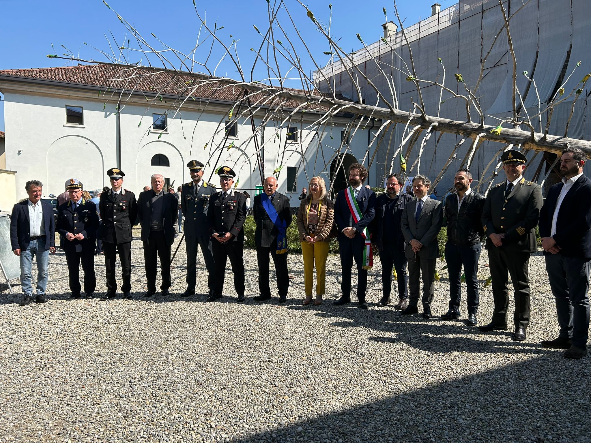 Vimercate dice no alla mafia con l'Albero dei Tutti: è nel cortile di Villa Sottocasa - Il ...